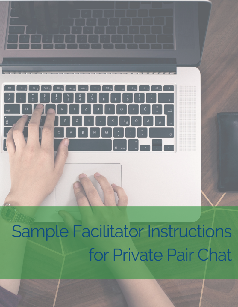 Sample Facilitator Instructions for Private Pair Chat - Cindy Huggett